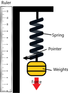 Forces – Backnotes